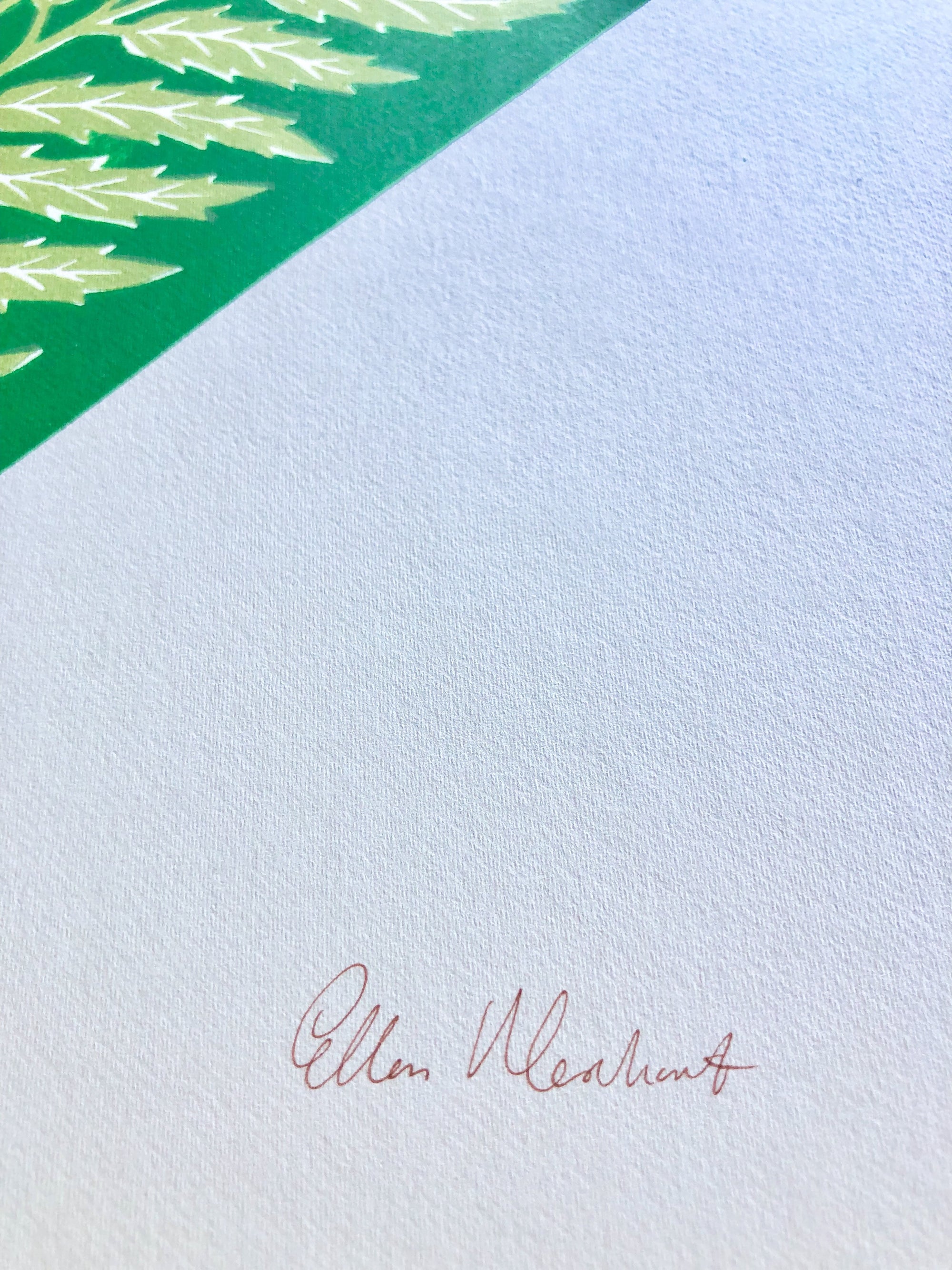 Green Marigold Print - Ellen Merchant