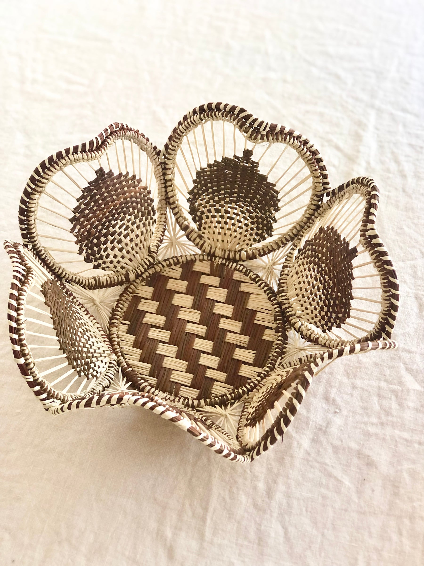 the ARK elements – theARKelements